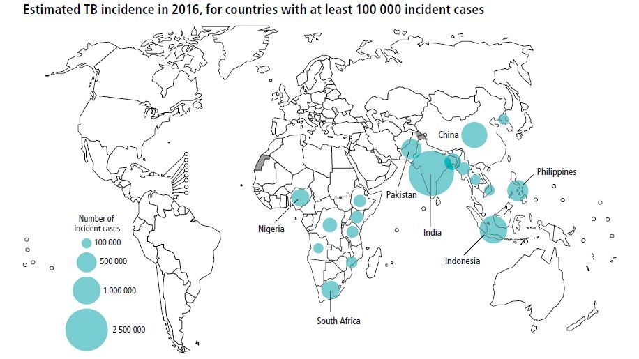 Global Tuberculosis Report 2017: Have We Learnt Any Lessons in the Past ...