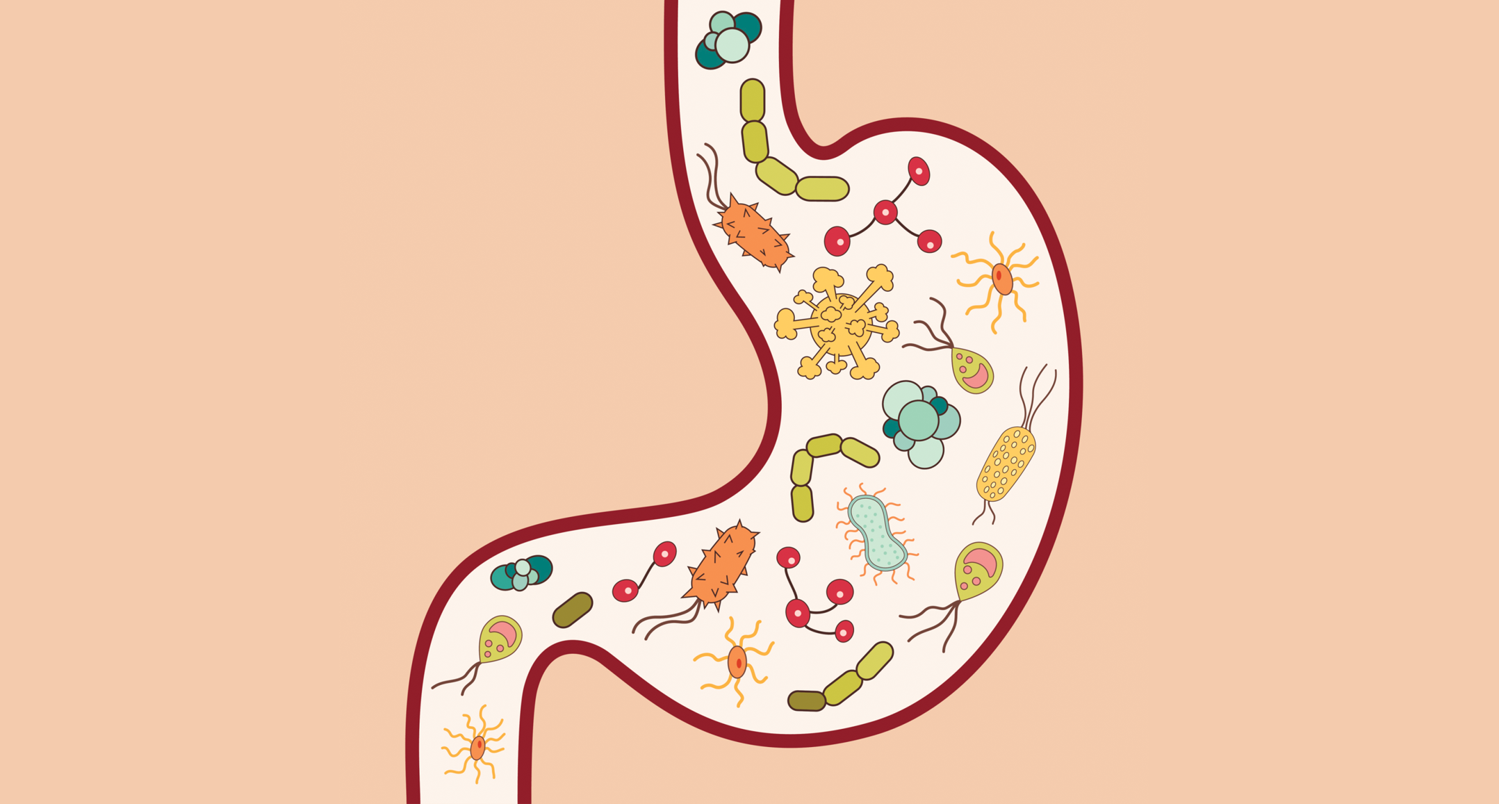 Preserving Gut Microbes from Human Feces Could Preserve the Microbial ...