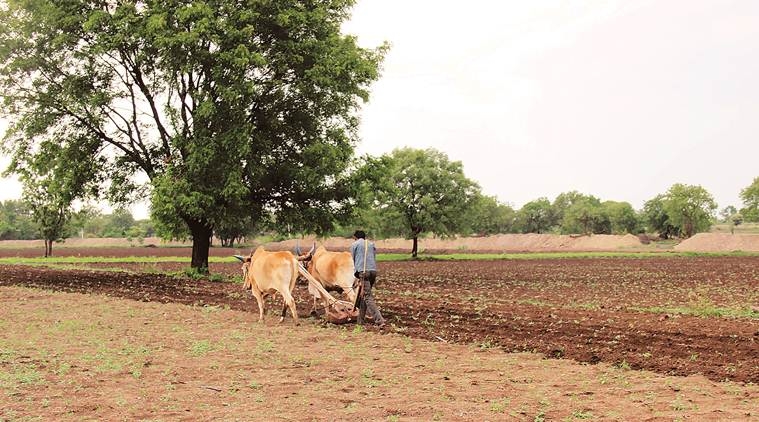 In MP & Rajasthan, Farmers Not Getting MSP | NewsClick