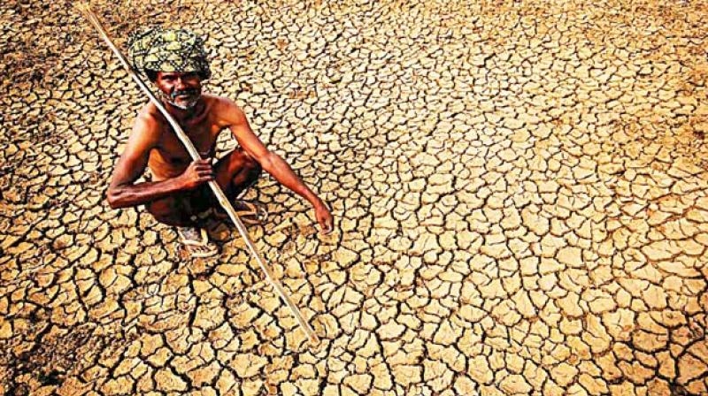 Drought in Karnataka: A Human-made Disaster | NewsClick