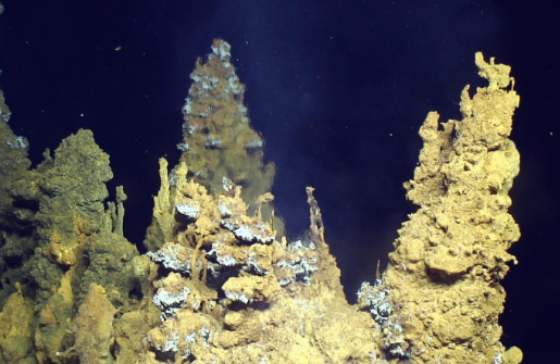 Unusual Deep Sea Microbes Shed Light on Evolution of Early Life on ...