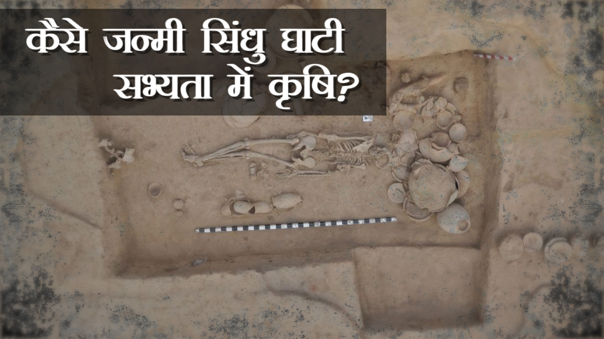 Indus Valley Civilisation: Where Did Agriculture Come From? | NewsClick