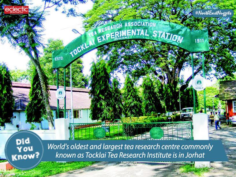 Fund Crunch Cripples World's Oldest Tea Research Institute in Jorhat ...