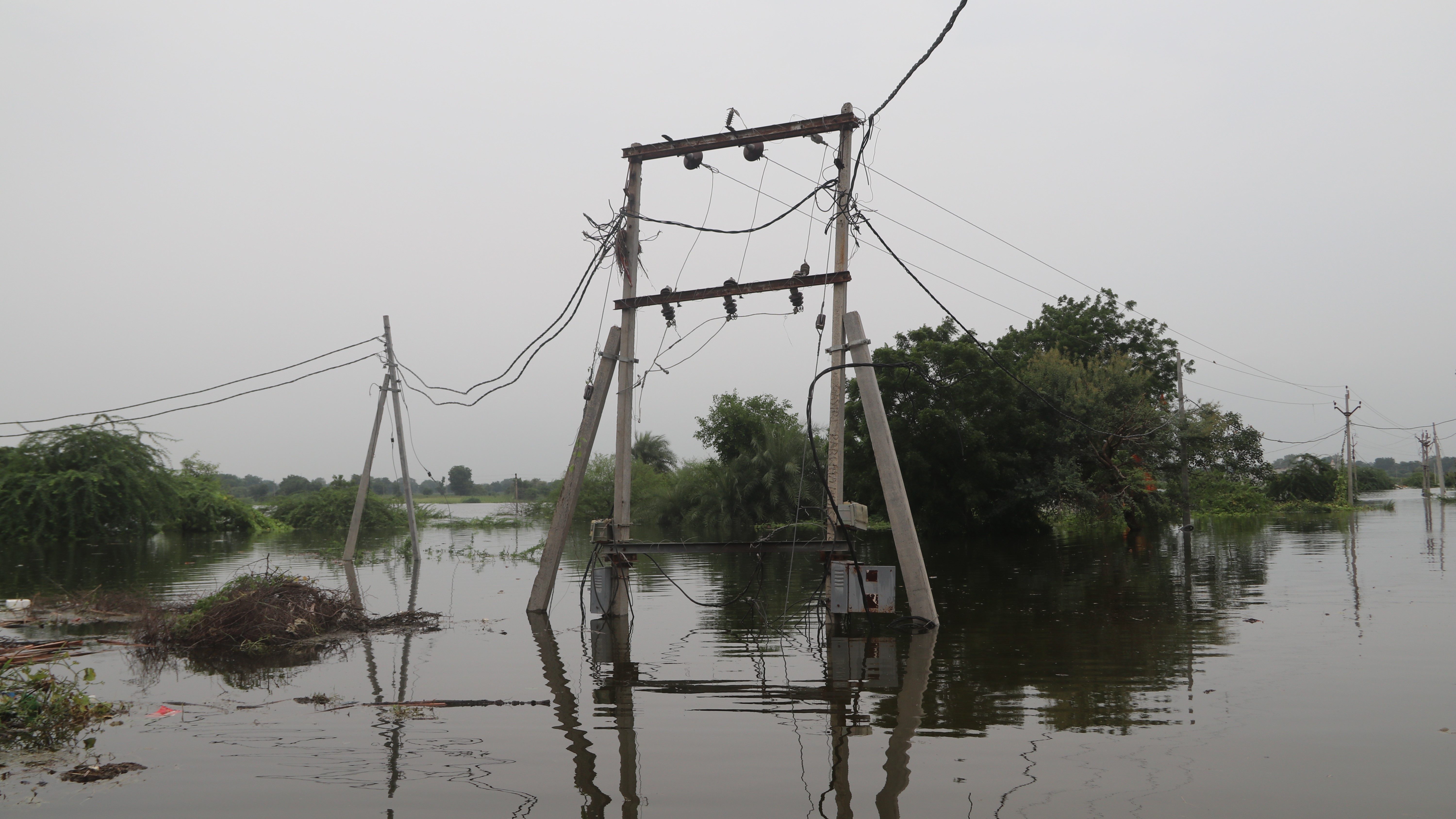 MP Flood: Initial Govt Estimates Peg Losses at Rs 10,000 Crore | NewsClick