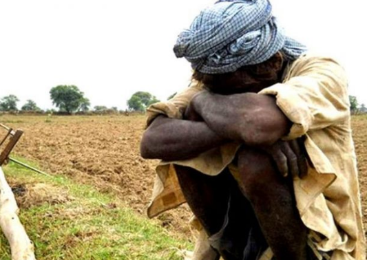 UP: Following Lockdown Woes, Farmers Left Distressed after Rain, Hail ...