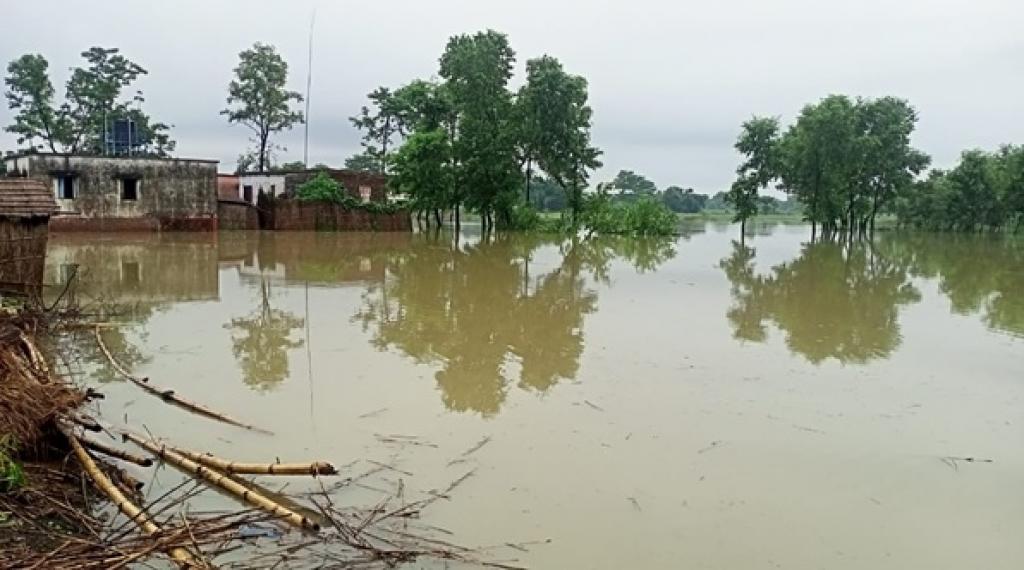 Bihar: Thousands Displaced by Floods, Forced to Take Shelter on ...