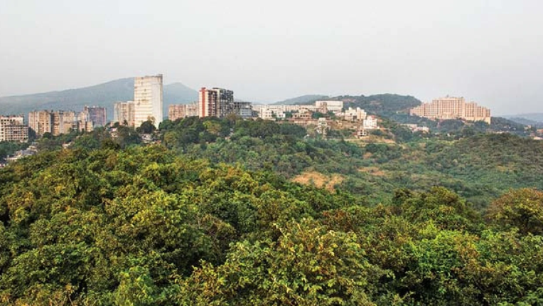 'Aarey' to be Declared a Forest but No Clarity on Remaining Land ...