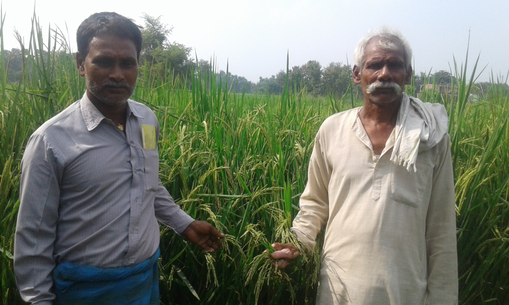 Bihar Elections: ‘Double Income a Jumla,’ Say Farmers from Erstwhile ...