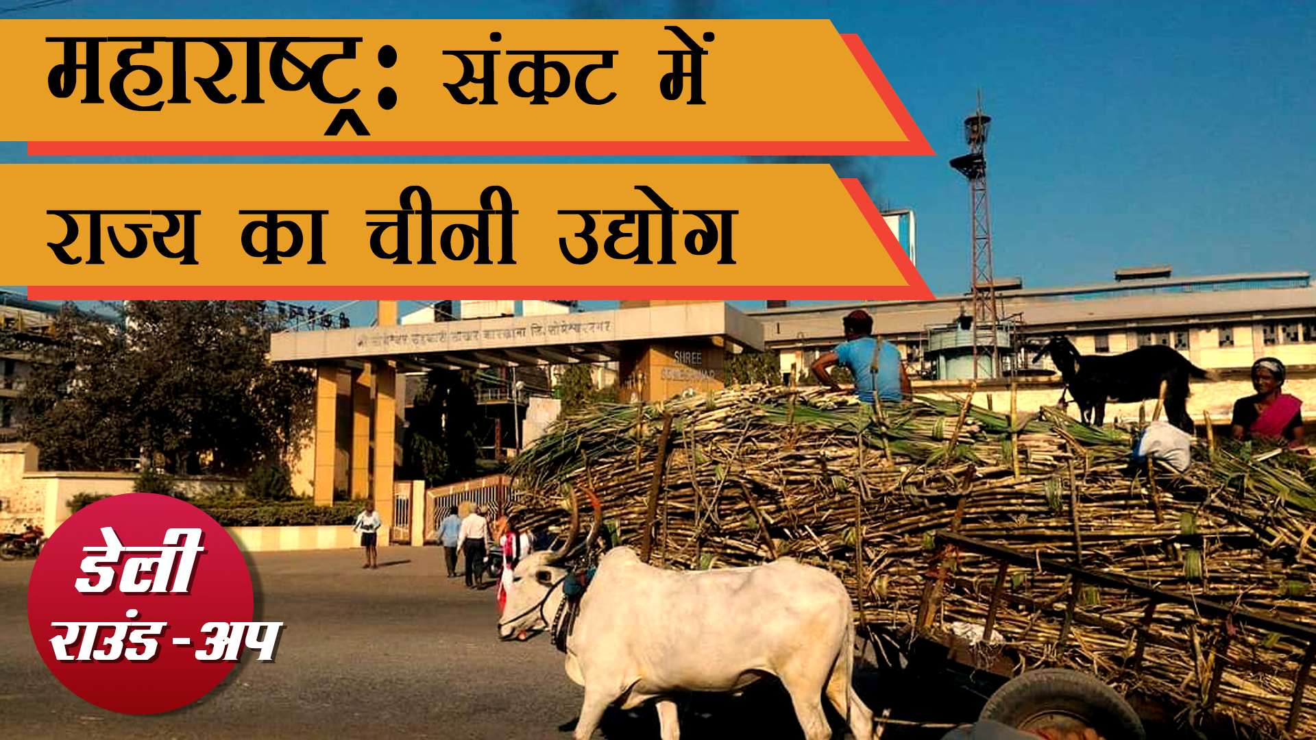 Modi Favours Foreign Investment, Maharashtra's Sugar Industry and More ...