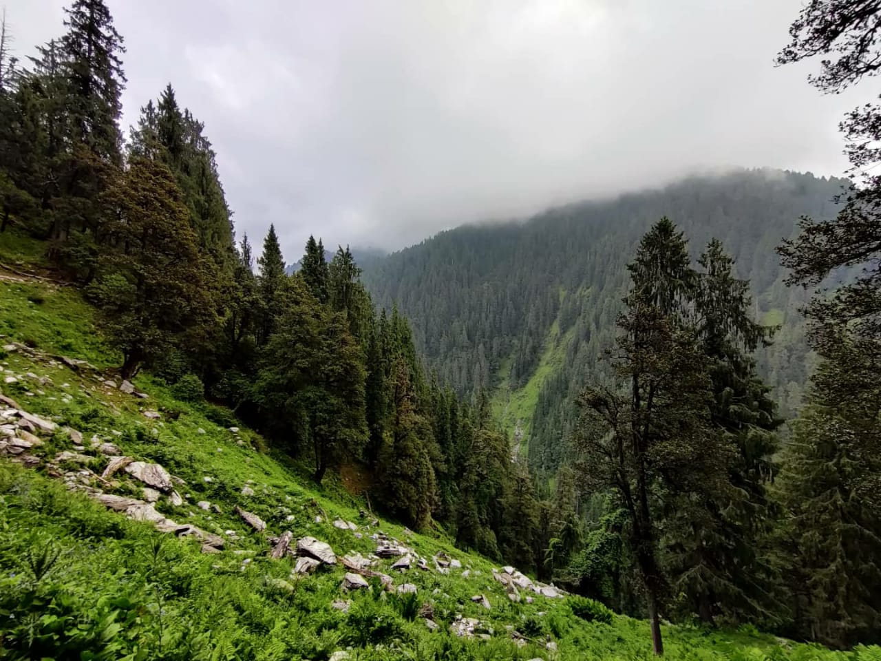 Need for More Knowledge to Conserve Himalayan Ecosystem | NewsClick