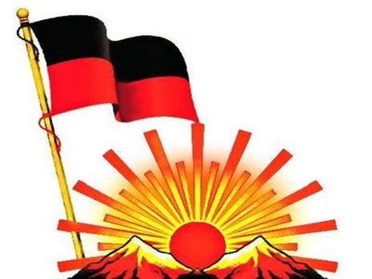 Vijayakanth Flag