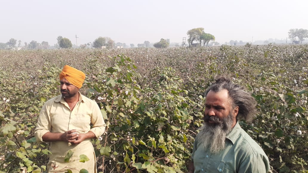 Malwa Farmers and Farm Labourers Continue to Fight Multiple Battles ...