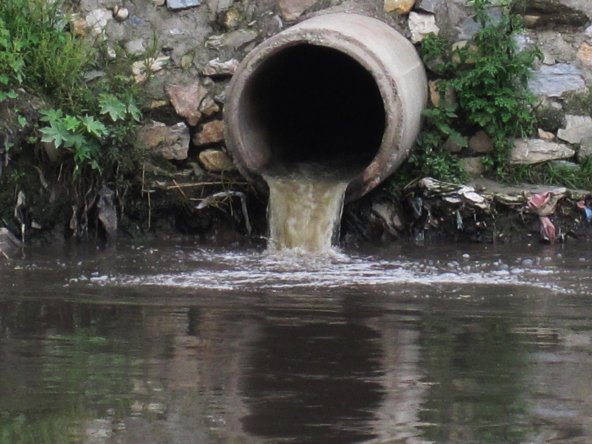 Water Pollution Sewage