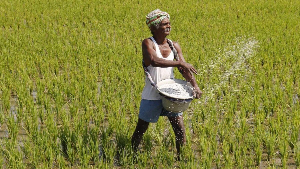 Bihar: Farmers Continue Protests as Fertiliser Shortage Persists Into ...