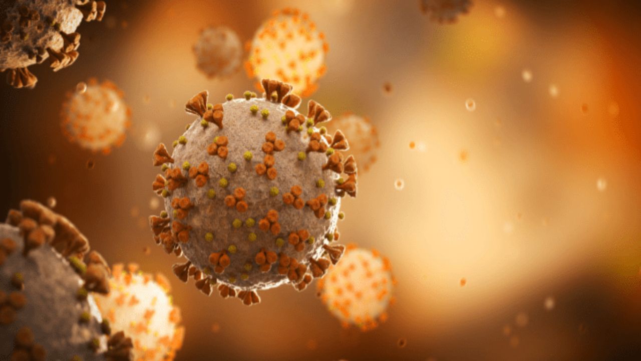 COVID Infected People May Have Variants Hidden in Several Body Parts ...