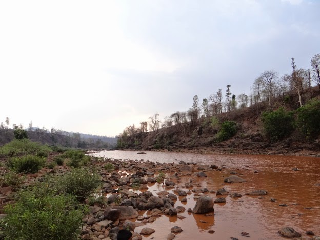 All Eyes on Tribal Votes as Gujarat Govt Stalls Par Tapi Narmada ...