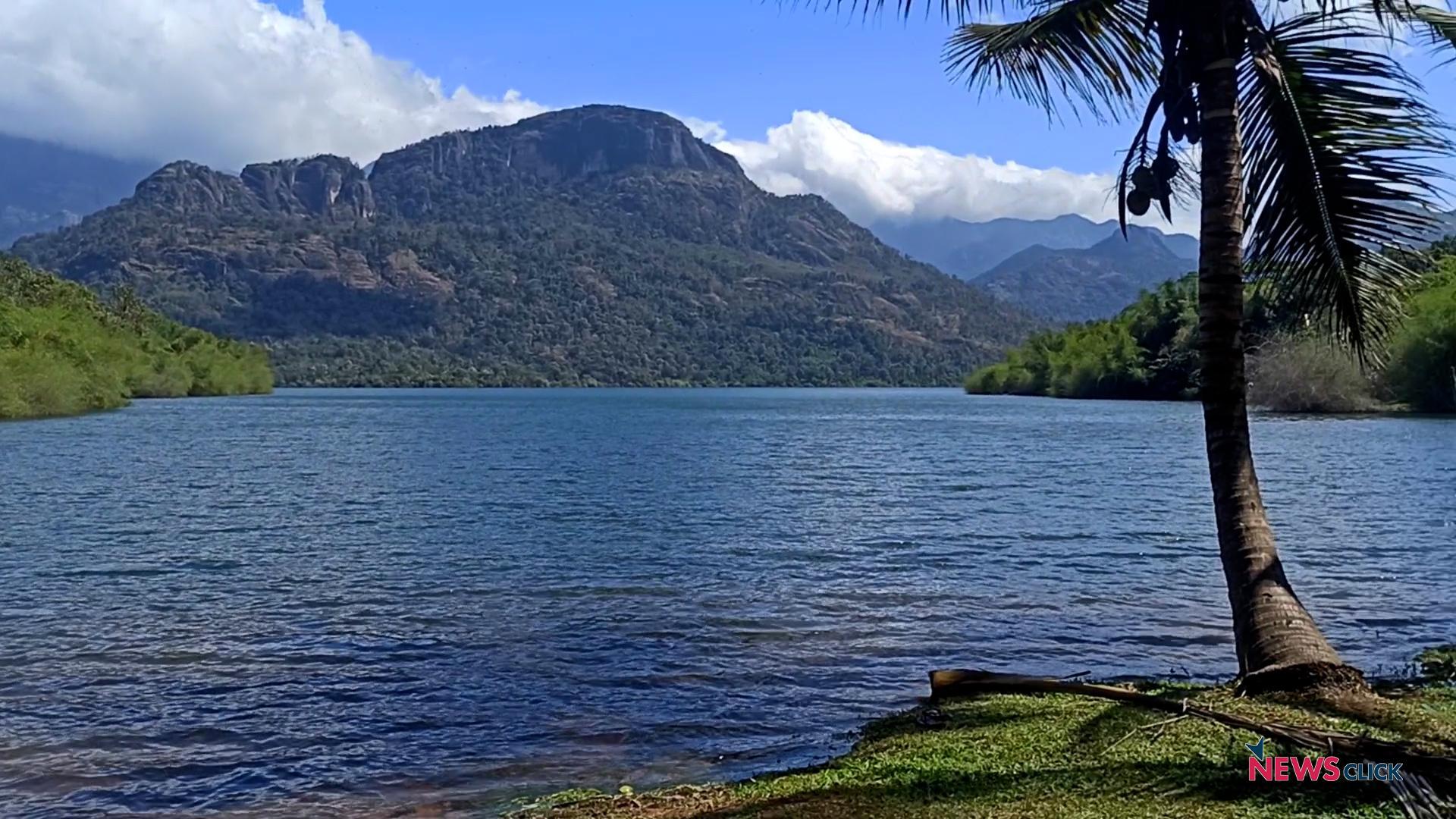 TN: Generations Down the Line, Kanyakumari’s Kani Tribes Still Await ...