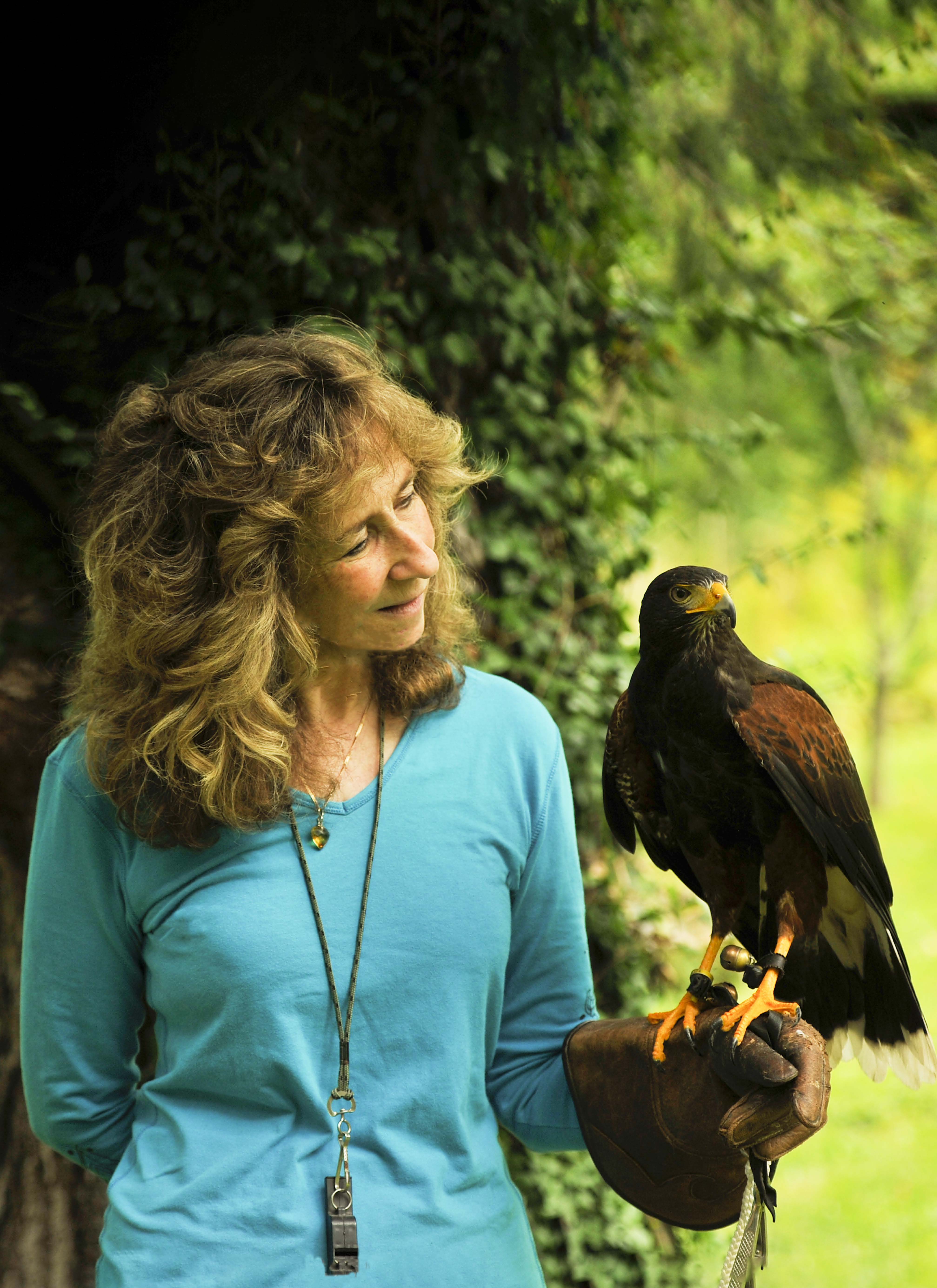 The Art of Building a Human-Hawk Relationship | NewsClick