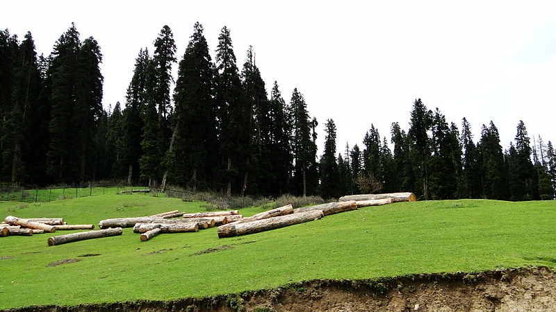 Jammu and Kashmir Lags in Forest Rights | NewsClick