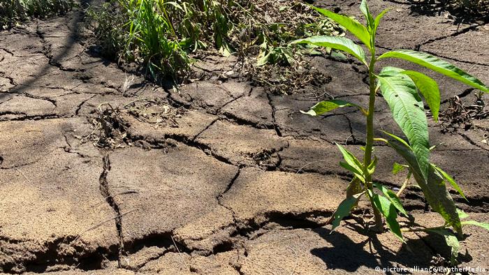 How to Protect Soil From Future Drought and Heat Waves | NewsClick