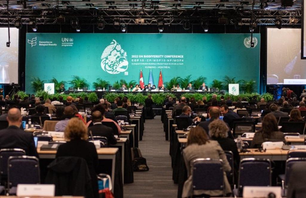 COP15: India Pushes for New, Dedicated Fund for Biodiversity ...