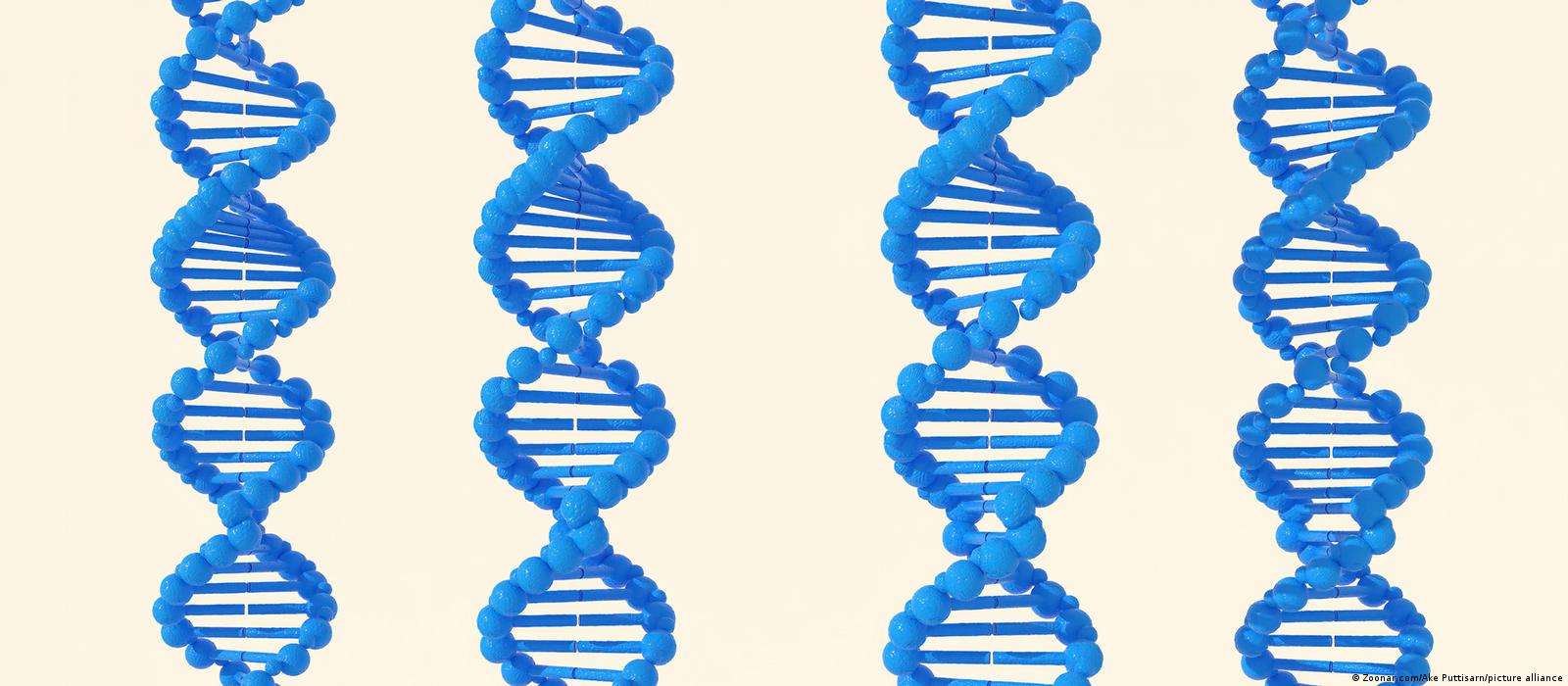 The Human Genome: The Most Important Map Ever Produced | NewsClick