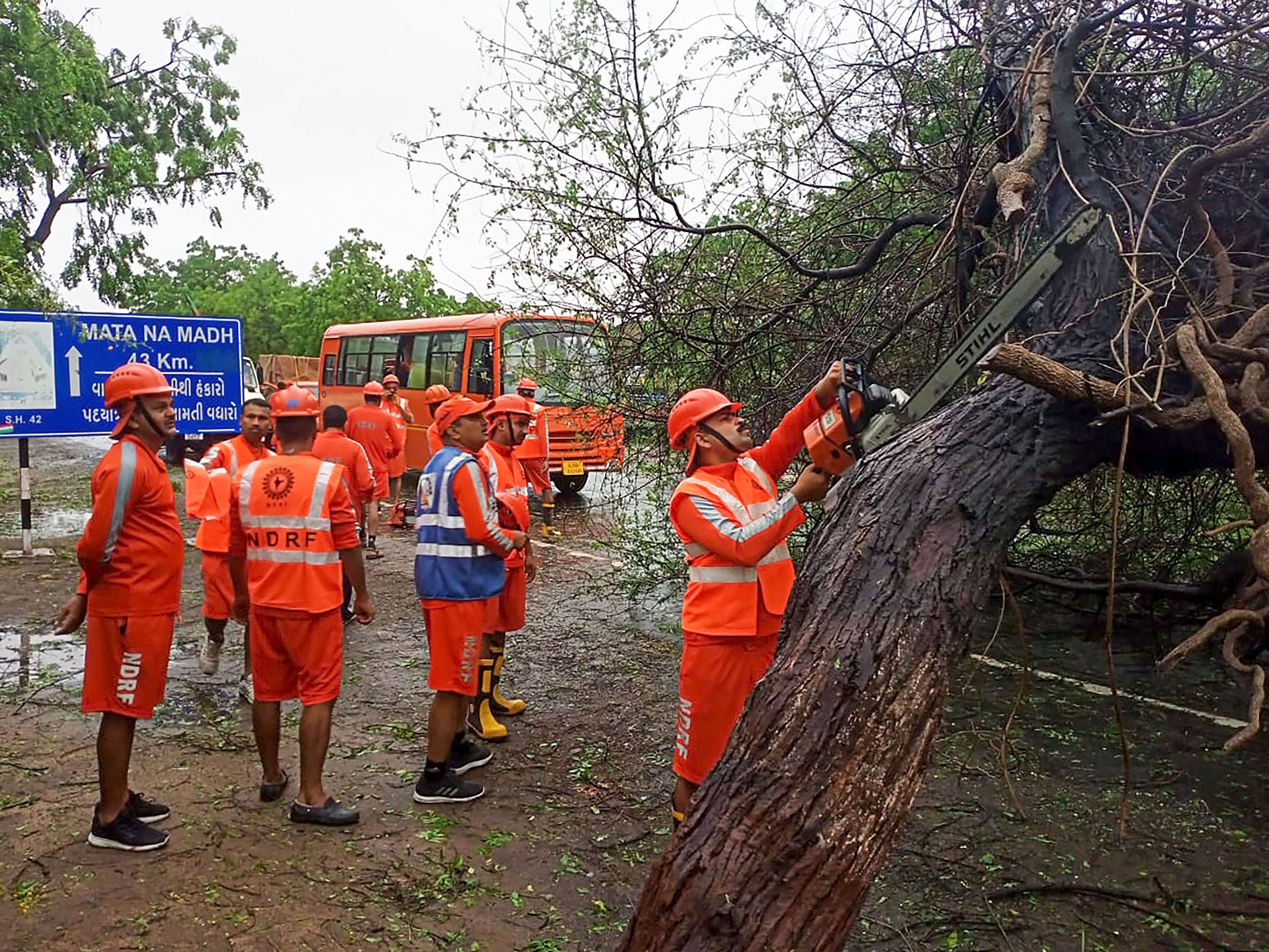 Cyclone Biparjoy Aftermath: 1,000 Gujarat Villages Without Power; Trees ...