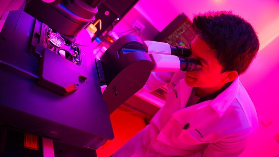 Scientists Discover Cell Behaviour Inside Healthy, Diseased Organs ...