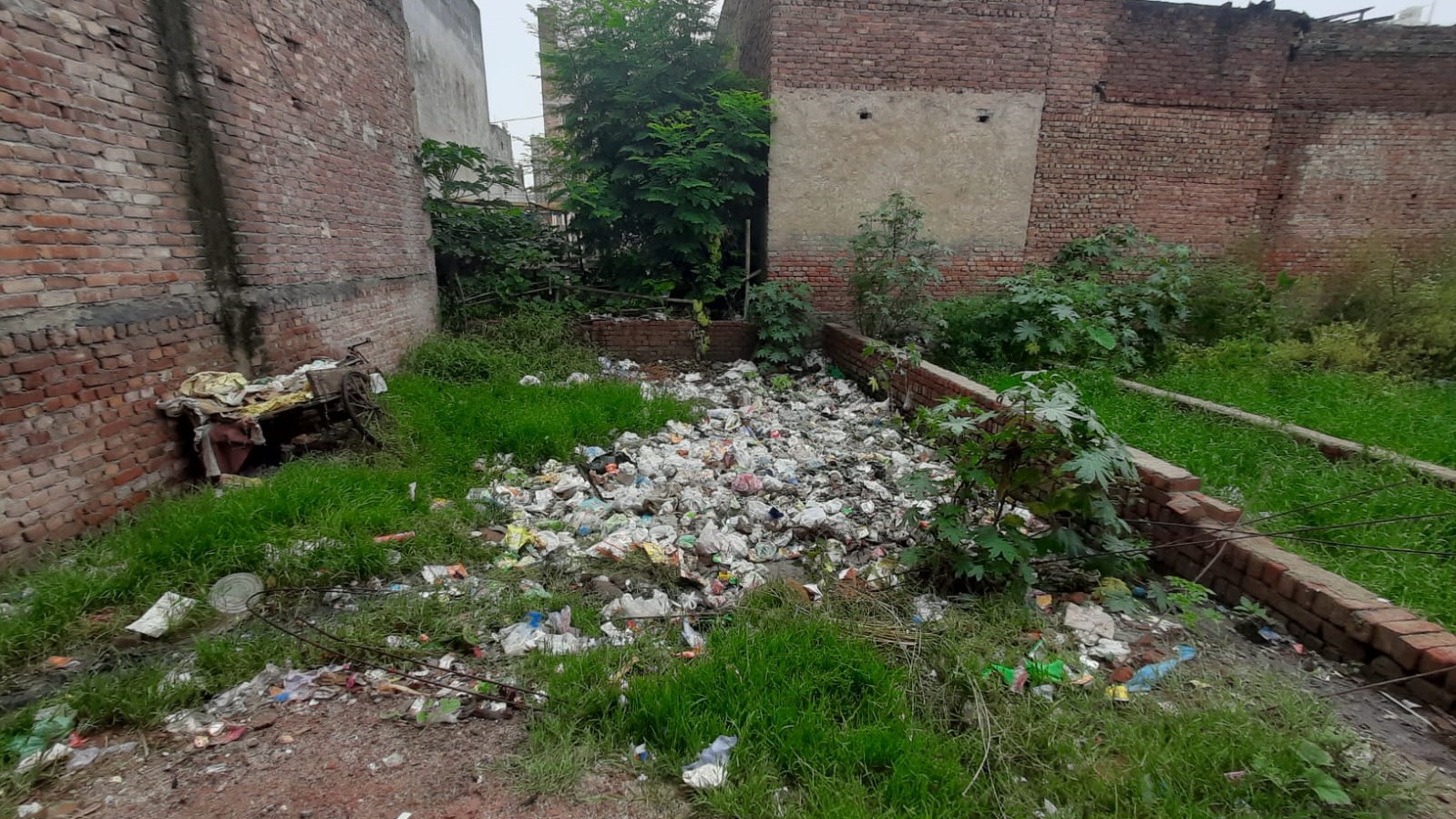 Delhi’s Gaddha Colony: Bottomless Hole of Filth, Official Apathy ...