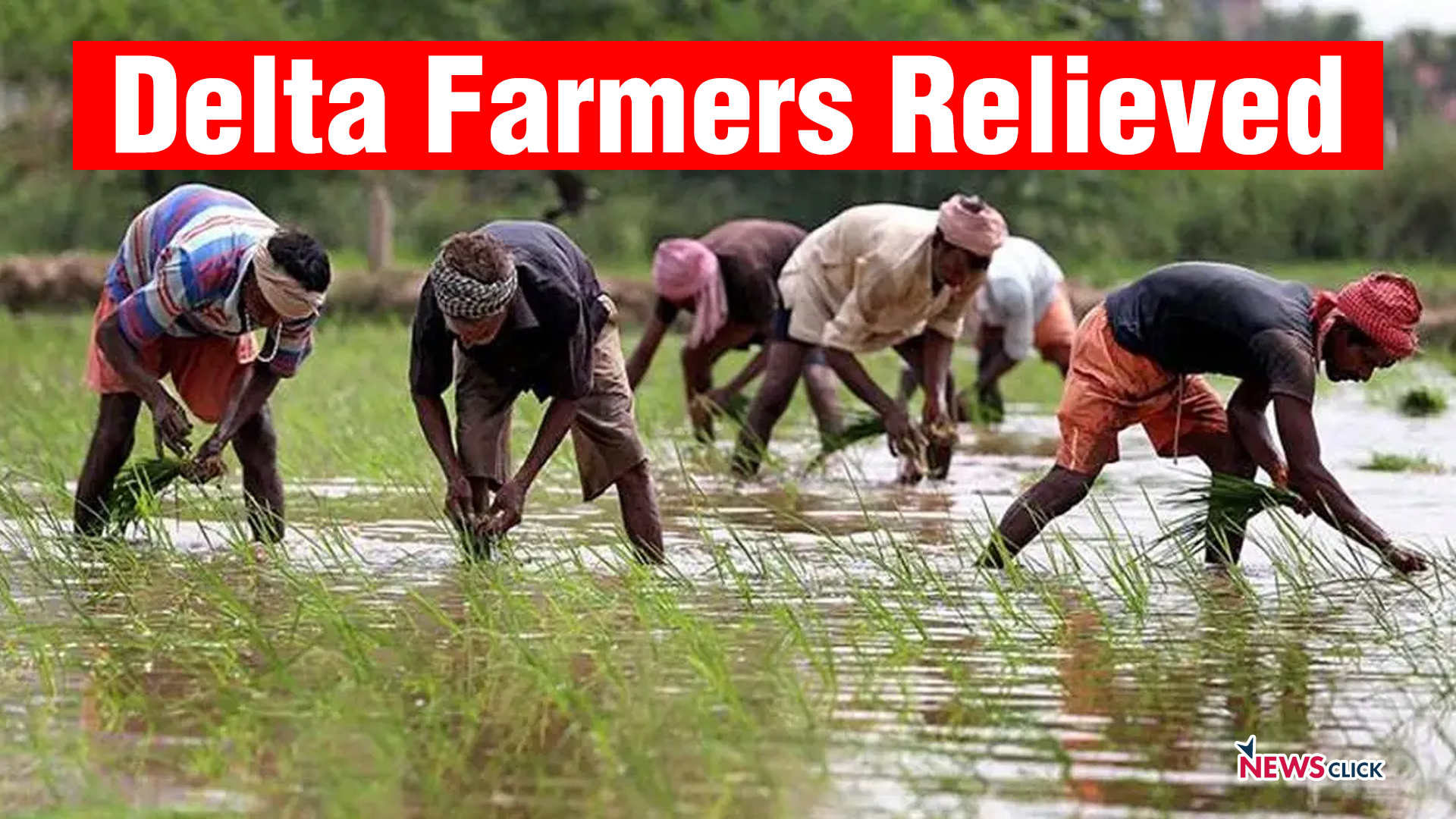 TN This Week: Karnataka Releases Cauvery Water, Standing Kuruvai Crops ...