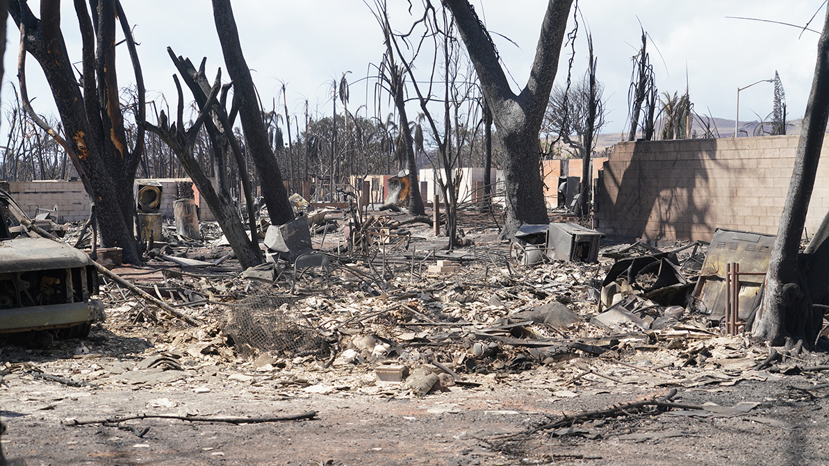 Maui wildfire devastation exposes the legacy of colonialism | NewsClick