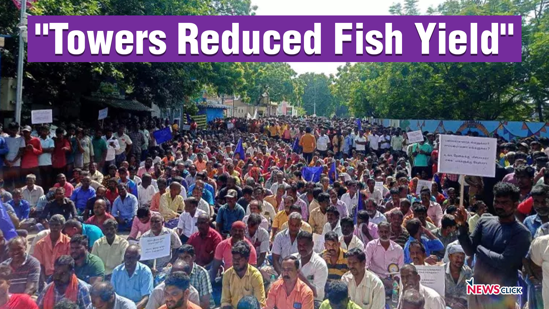 TN This Week: Ennore Fishers Protest Against Erection of More ...