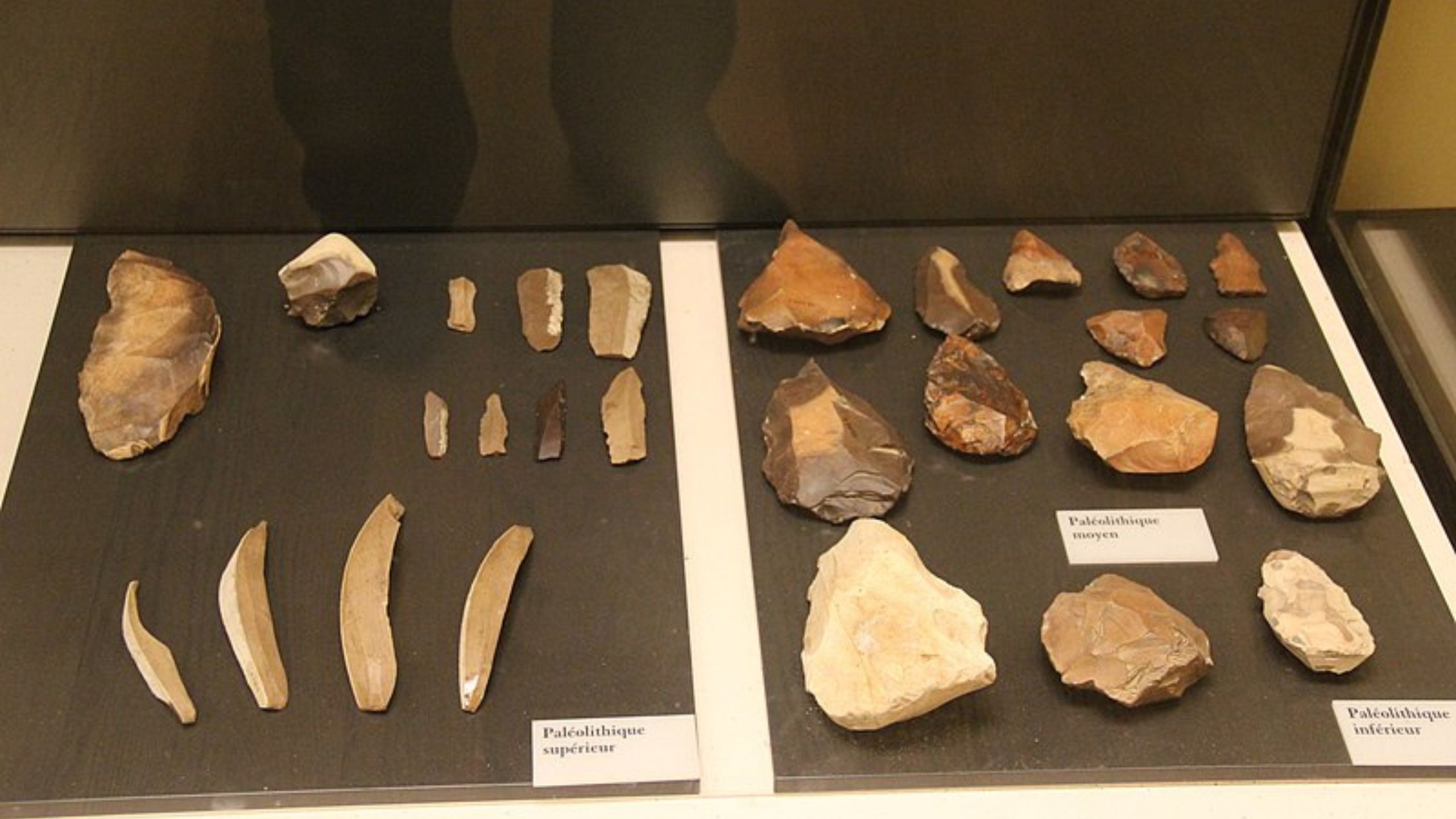 How can we Understand Passage of Time? | NewsClick