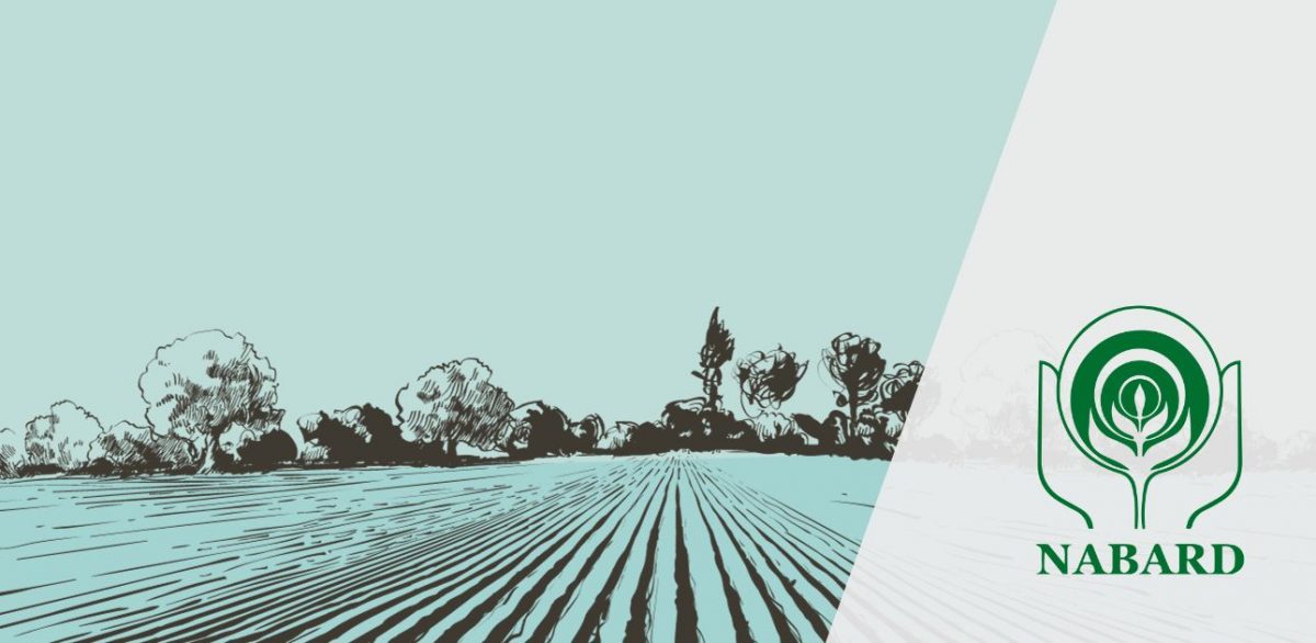 ‘No Money for MSP’, Huge Allocation Cuts Amid India’s Worst Agrarian ...