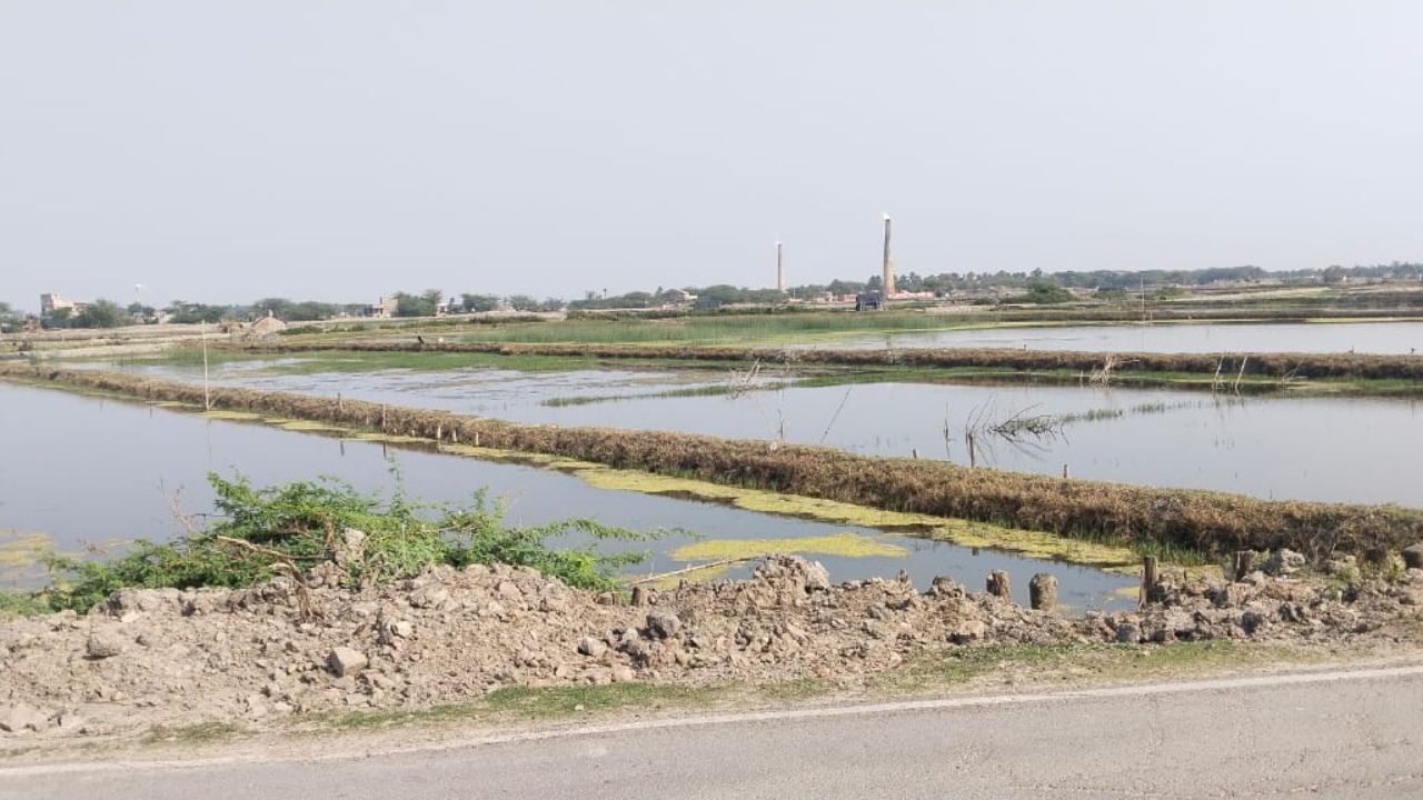Bengal: Local Mafia Turns Arable Land Into ‘Bheris’ Creating Ecological ...