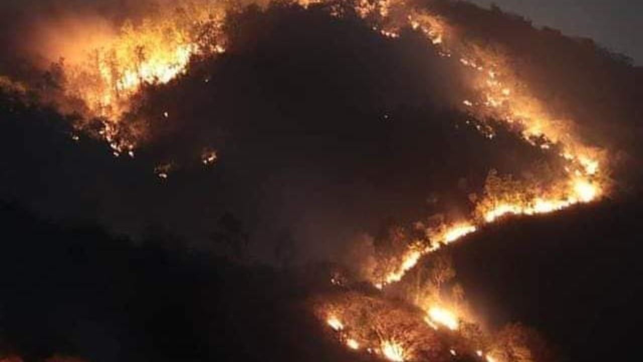 Bengal: Who’s Responsible For Raging Forest Fires in Bankura? | NewsClick