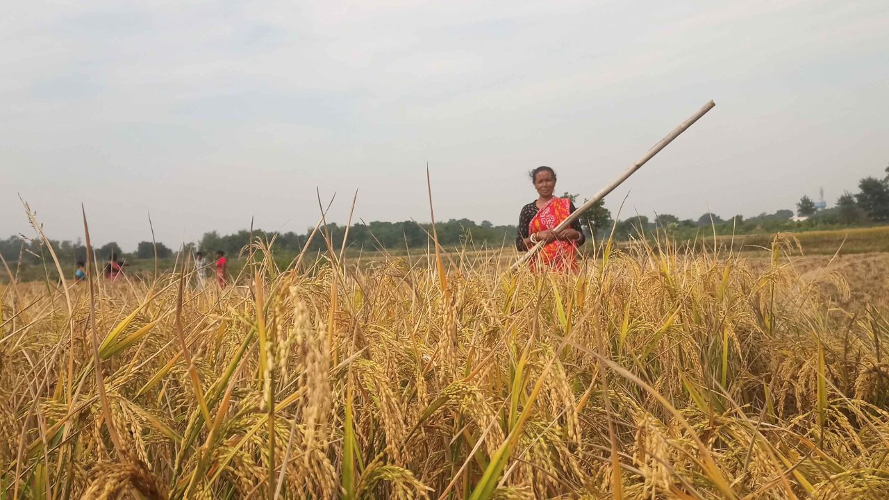 Bengal Paddy Procurement: Farmers, Pattadars Face Uphill Task | NewsClick