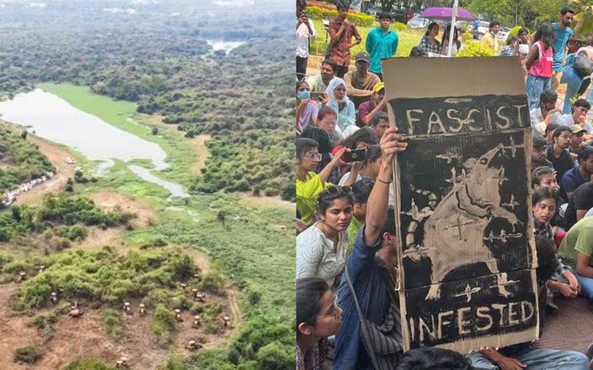 Telangana: Mass Deforestation, Protests; SC Halts Reckless Tree Felling ...