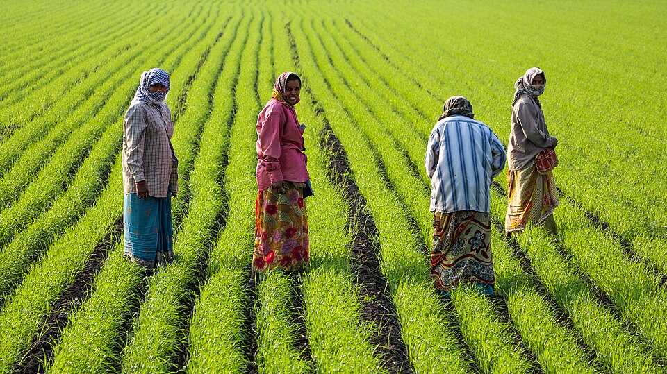 Women Face Greatest Risks But Are Critical to Climate Action | NewsClick