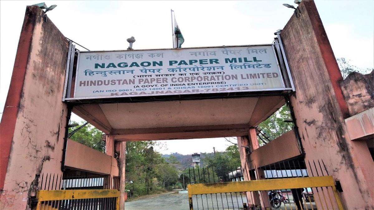 Nagaon Paper Mill Logo Site Title