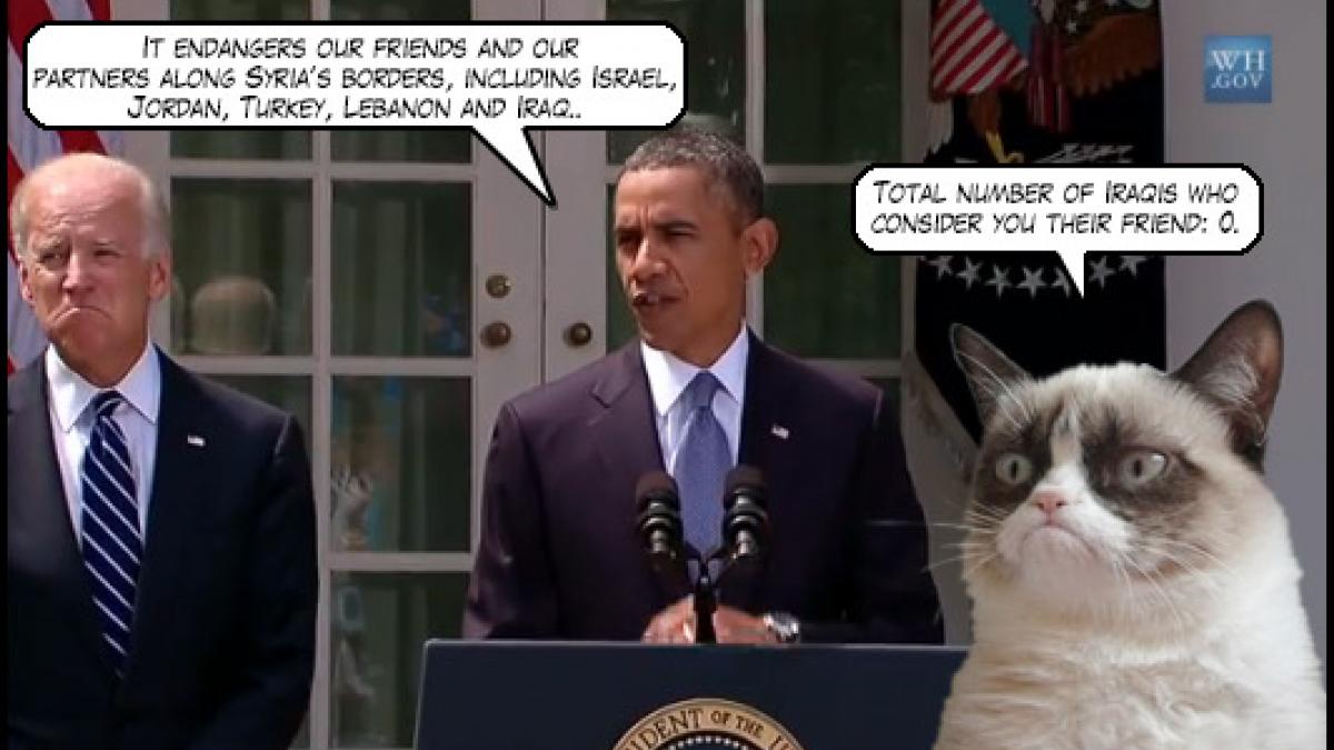 Grumpy Cat Obama