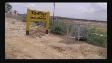 Malanpur : All | NewsClick