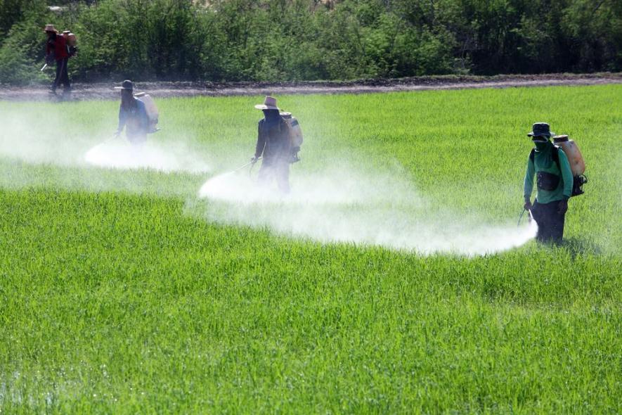 Study Says 64% of World’s Farmland at Risk of Pesticide Pollution ...