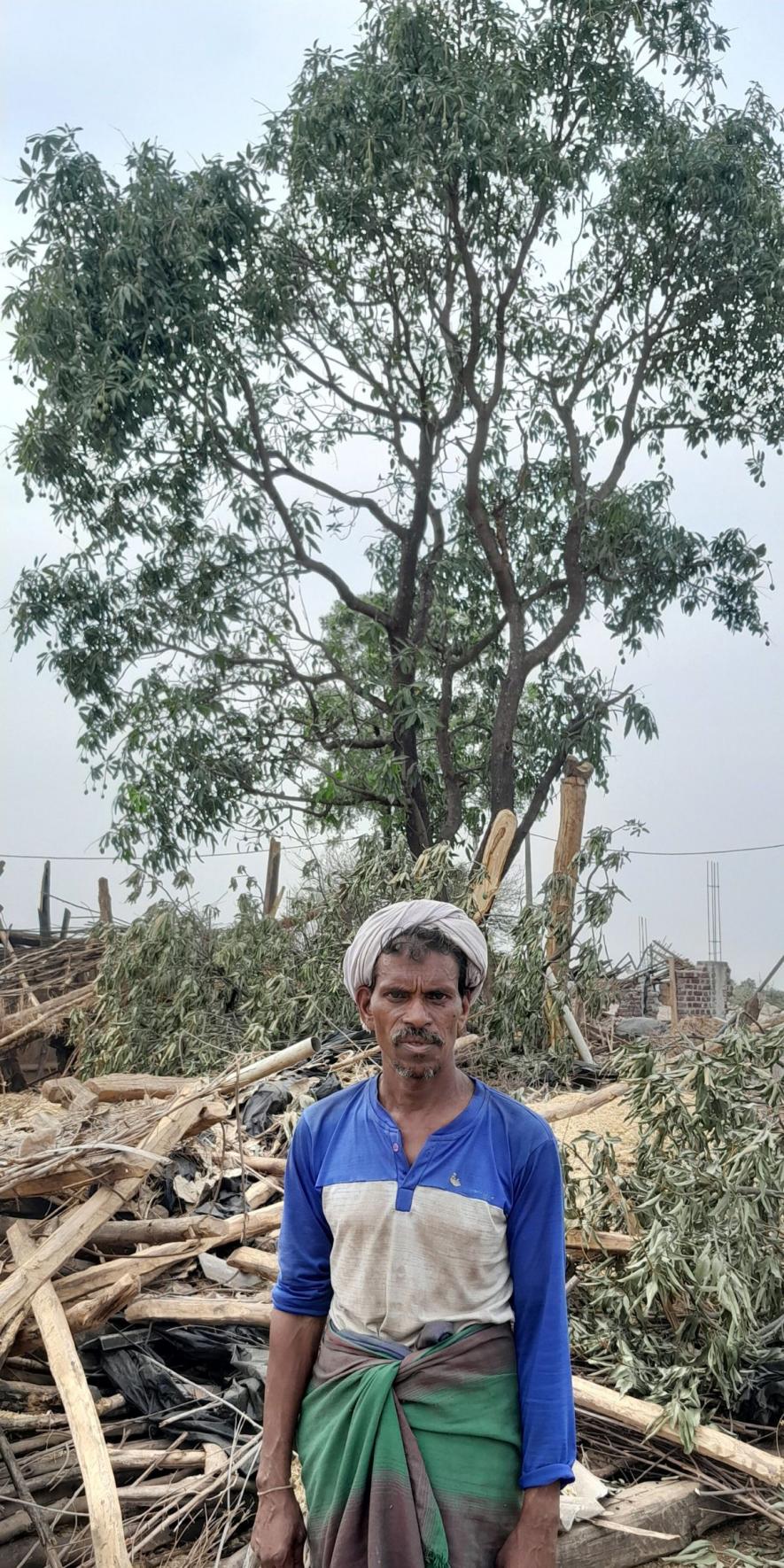 MP: Loggers Have Field Day in Burhanpur, But Police, Forest Dept Have ...