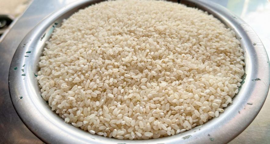 Mushk Budji Rice Better Than Apple for Farmers of Kashmir’s Sagam ...