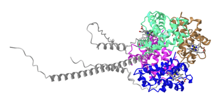 AlphaFold3: A Cautionary Tale for Open Science | NewsClick